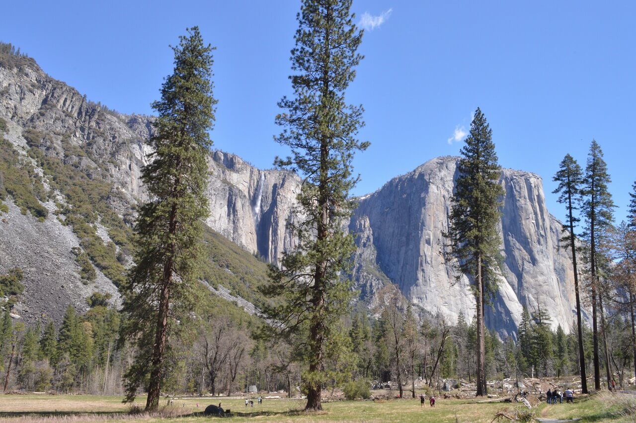ヨセミテ国立公園のおすすめ絶景ビューポイント